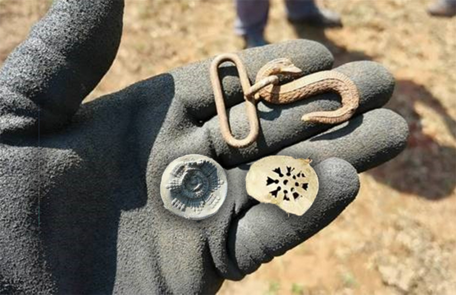 Kyle Beukes fait une incroyable découverte avec son XP ORX | XP METAL ...