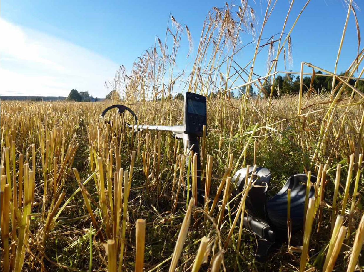Roger Olsen, un Déus et… un trésor celtique | XP METAL DETECTORS